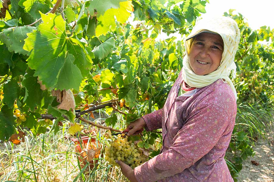 Rapunzel Naturkost farming projects: Organic. Fair. Rapunzel.
